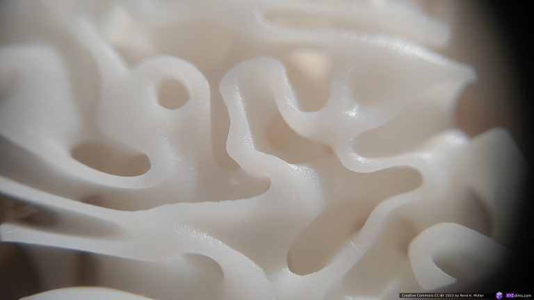 3D Printing: MSLA printing Triply Periodic Minimal Surfaces (TPMS ...